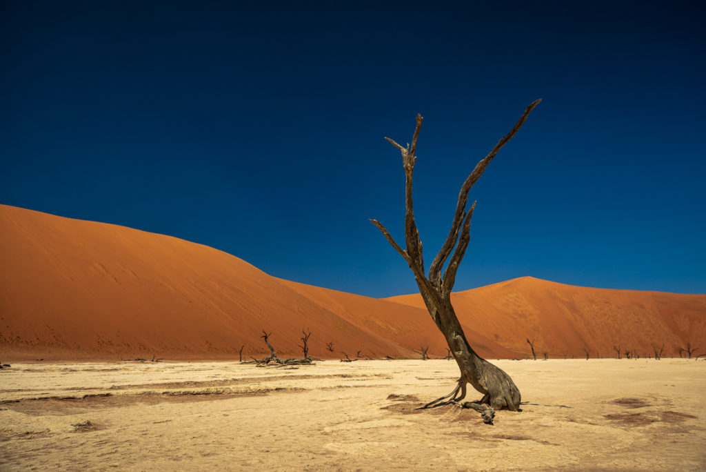 Pustynia Namib, Namibia – co zobaczyć, jak zwiedzać? Poradnik. – Paweł ...